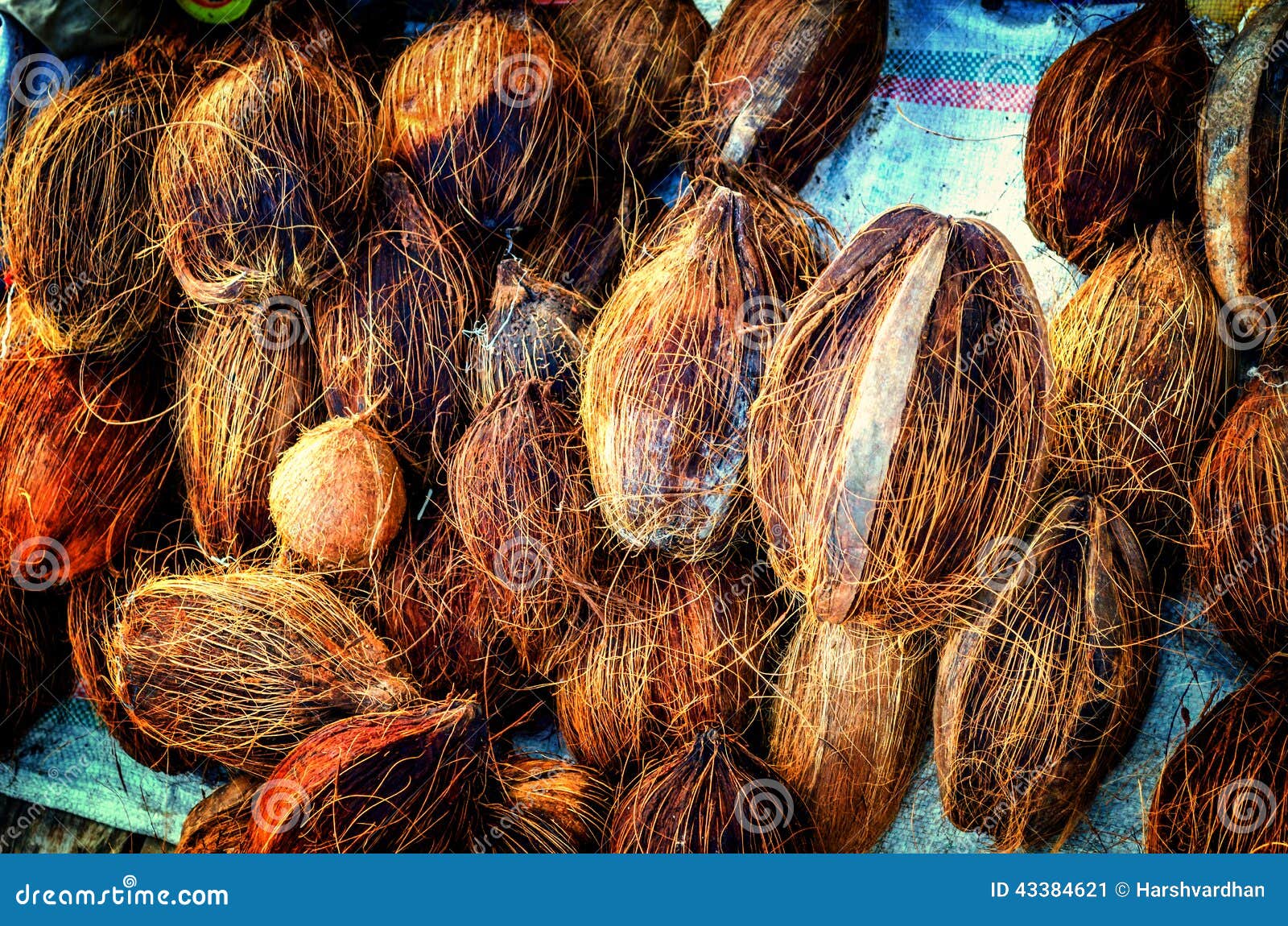 Coconut background stock image. Image of nature, fresh - 43384621