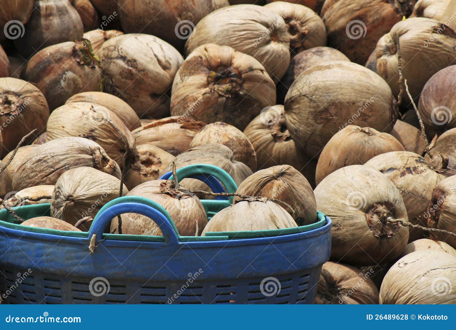 Coconut in basket stock photo. Image of pile, delicious - 26489628