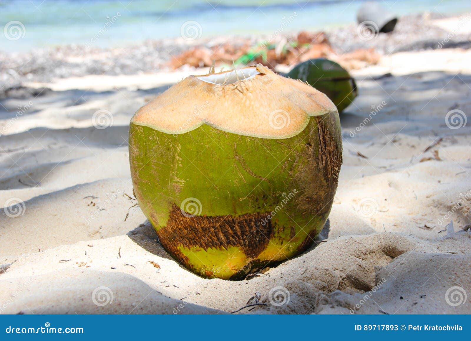Coconut on the beach stock image. Image of paradise, coast - 89717893