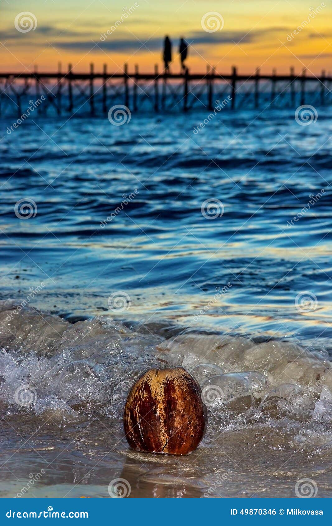 Coconut on the Beach at Sunset Stock Photo - Image of human, blue: 49870346