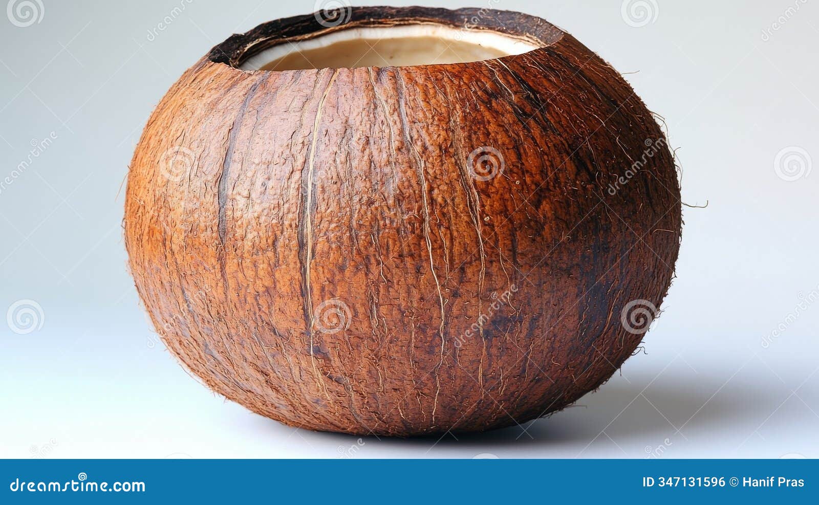 Coconut after Being Split on a White Background Stock Illustration ...