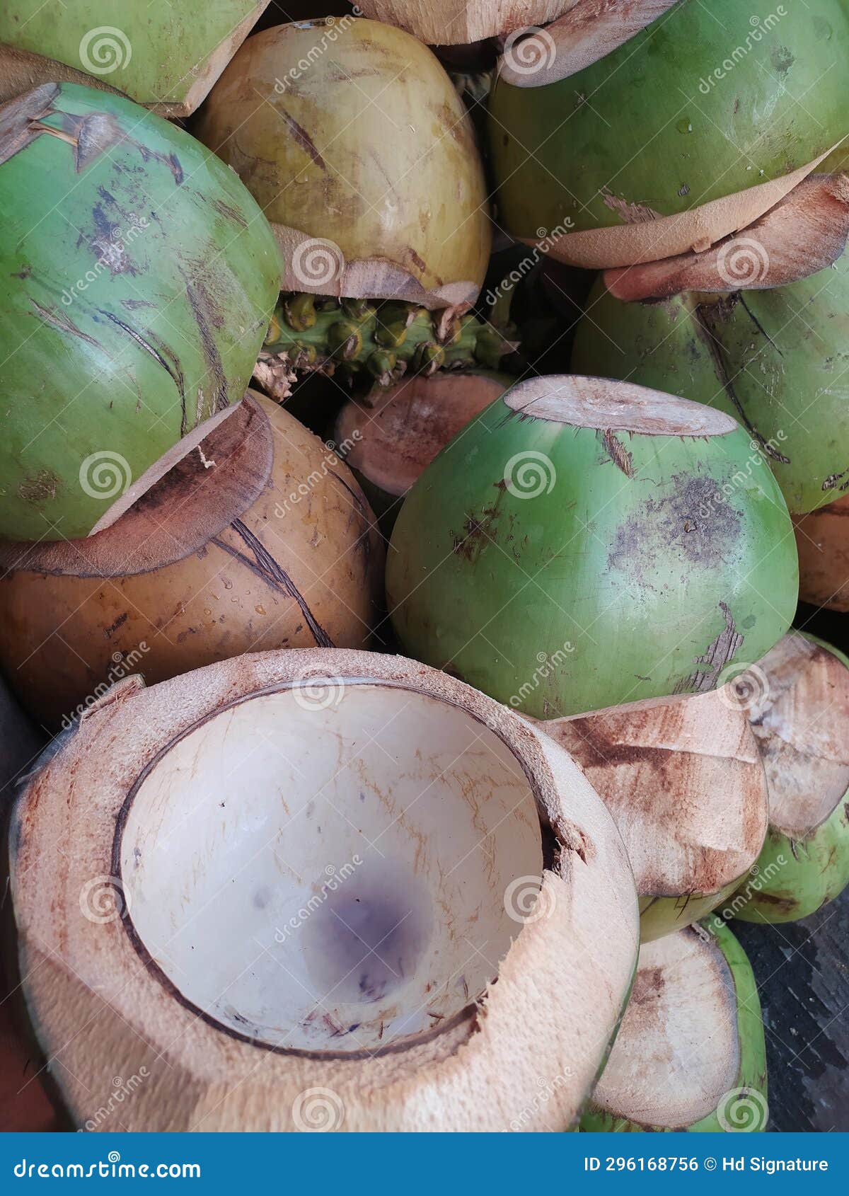 Coconut benefit stock photo. Image of food, benefit - 296168756