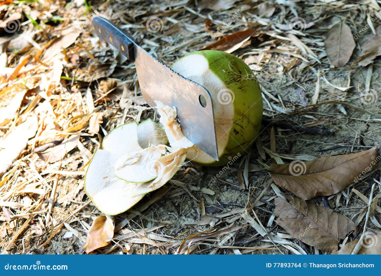 Coconut with big knife stock photo. Image of organic - 77893764
