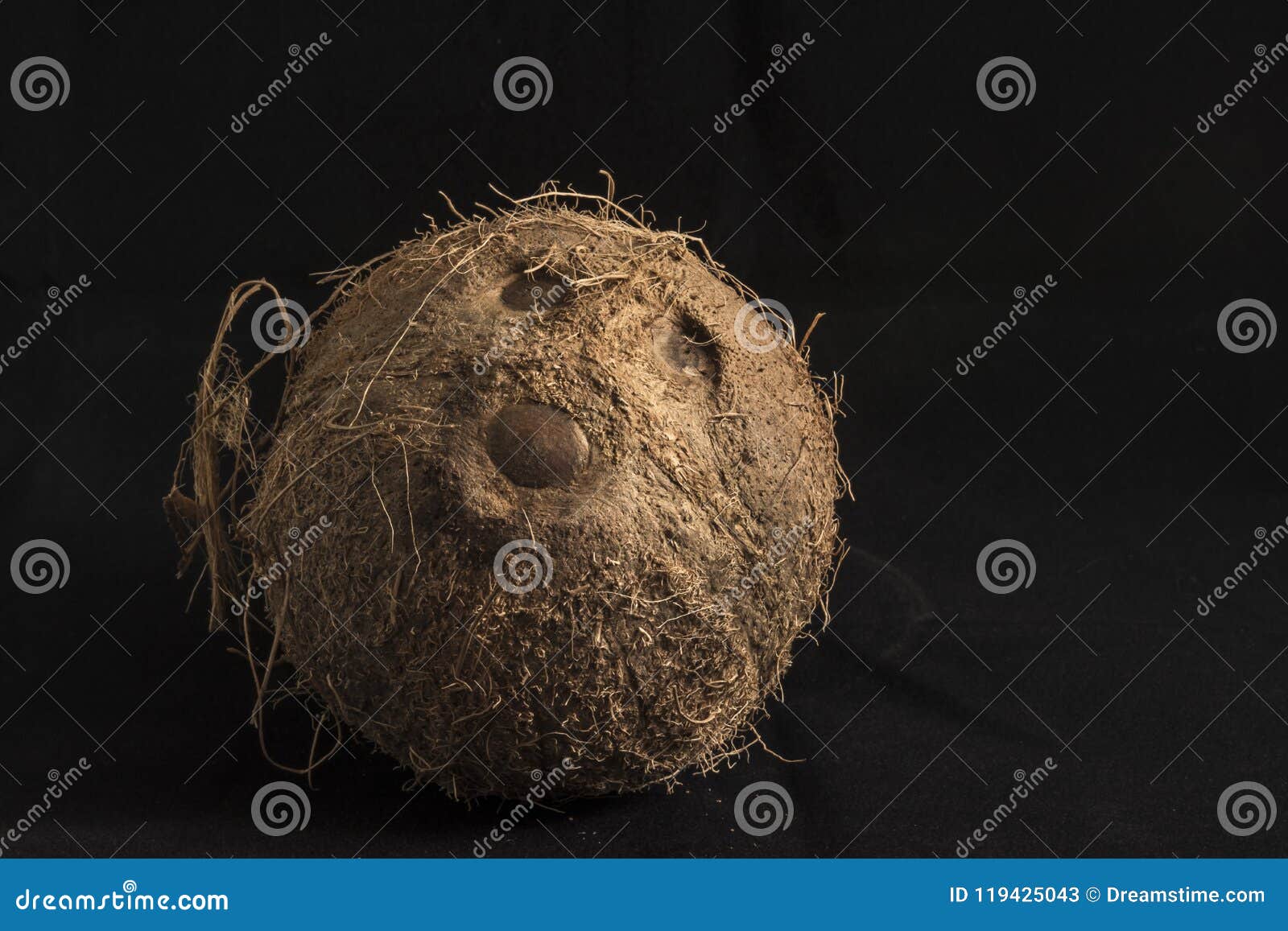 Funny coconut face stock image. Image of vegetable, background - 119425043