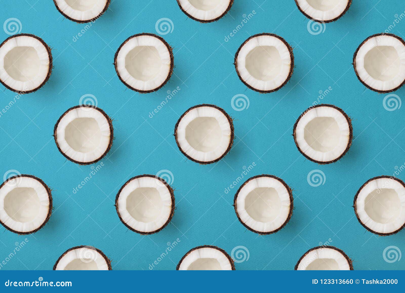 Coconut on blue background stock photo. Image of minimal - 123313660