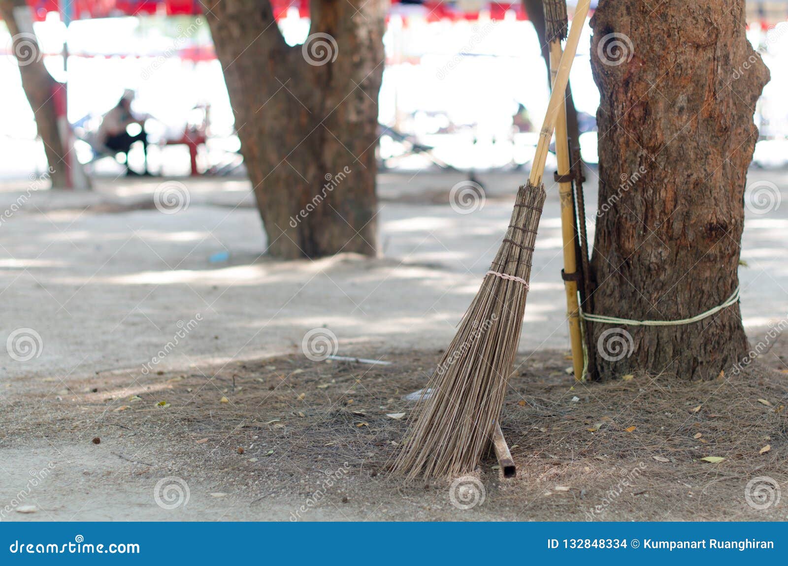 Coconut Broom Put it on the Tree Near Beach Area Stock Photo - Image of ...