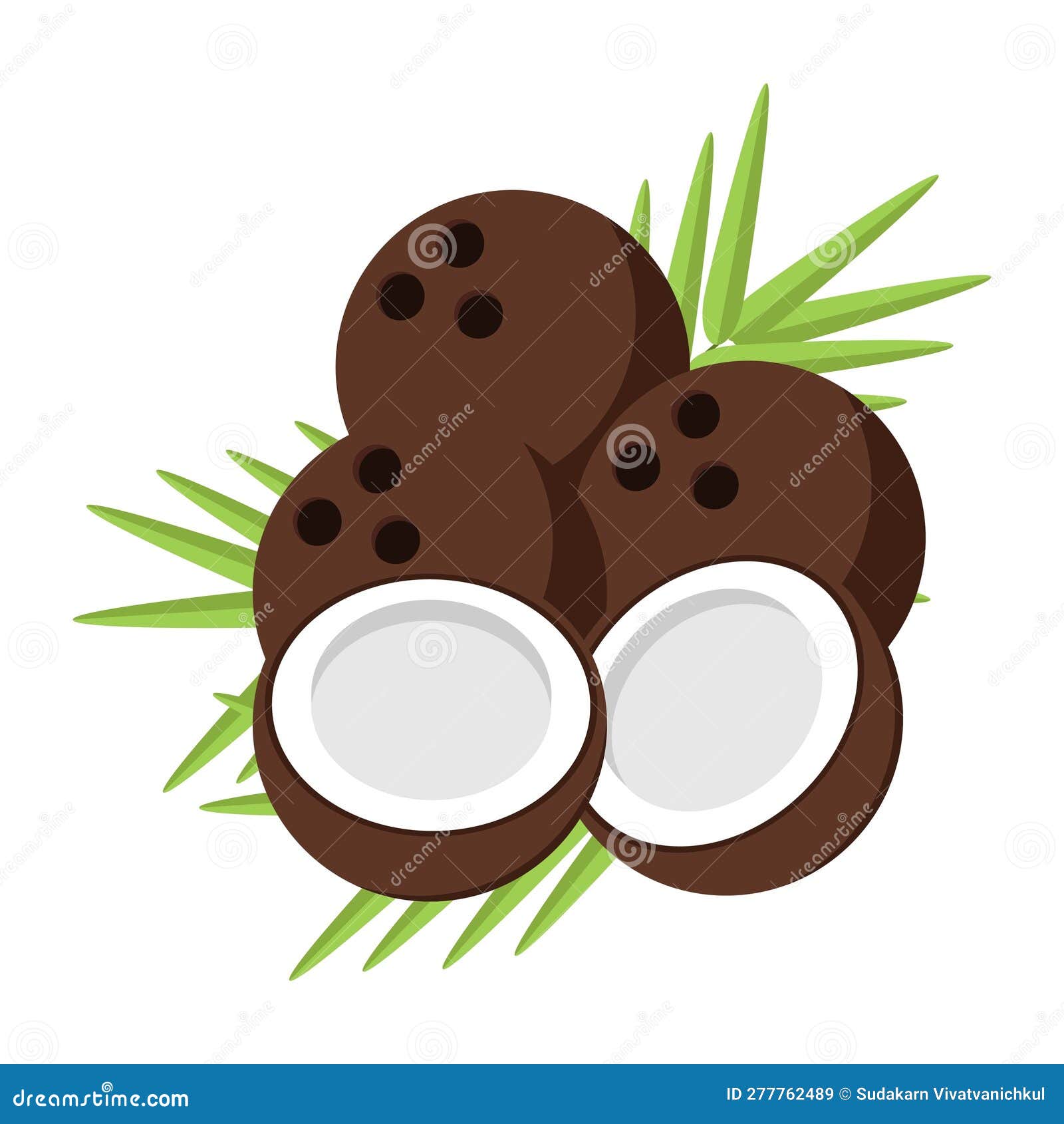 Coconut Cartoon Illustration. Stock Vector - Illustration of drawing ...