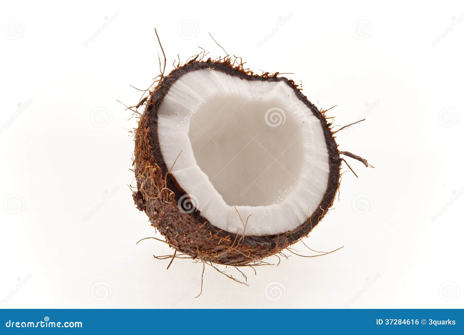 Coconut stock photo. Image of coco, exotic, coconut, close - 37284616
