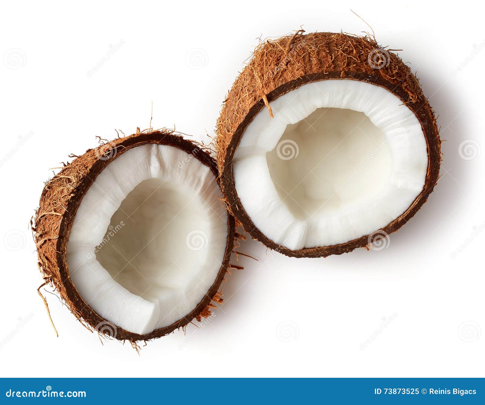 Coconut Close Up Isolated on White Stock Image - Image of natural ...