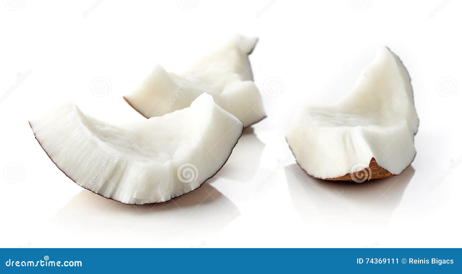 Coconut Close Up Isolated on White Stock Image - Image of coconut ...