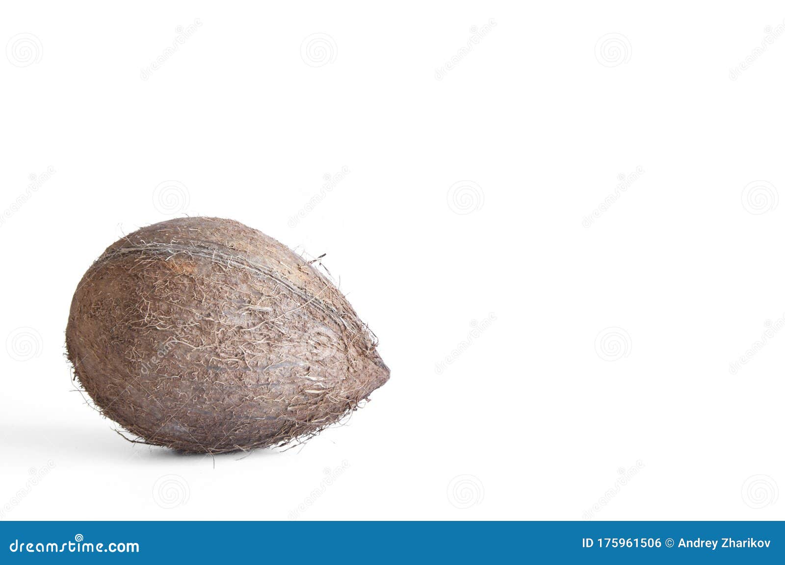 Coconut. Close-up. on White Background Stock Photo - Image of closeup ...