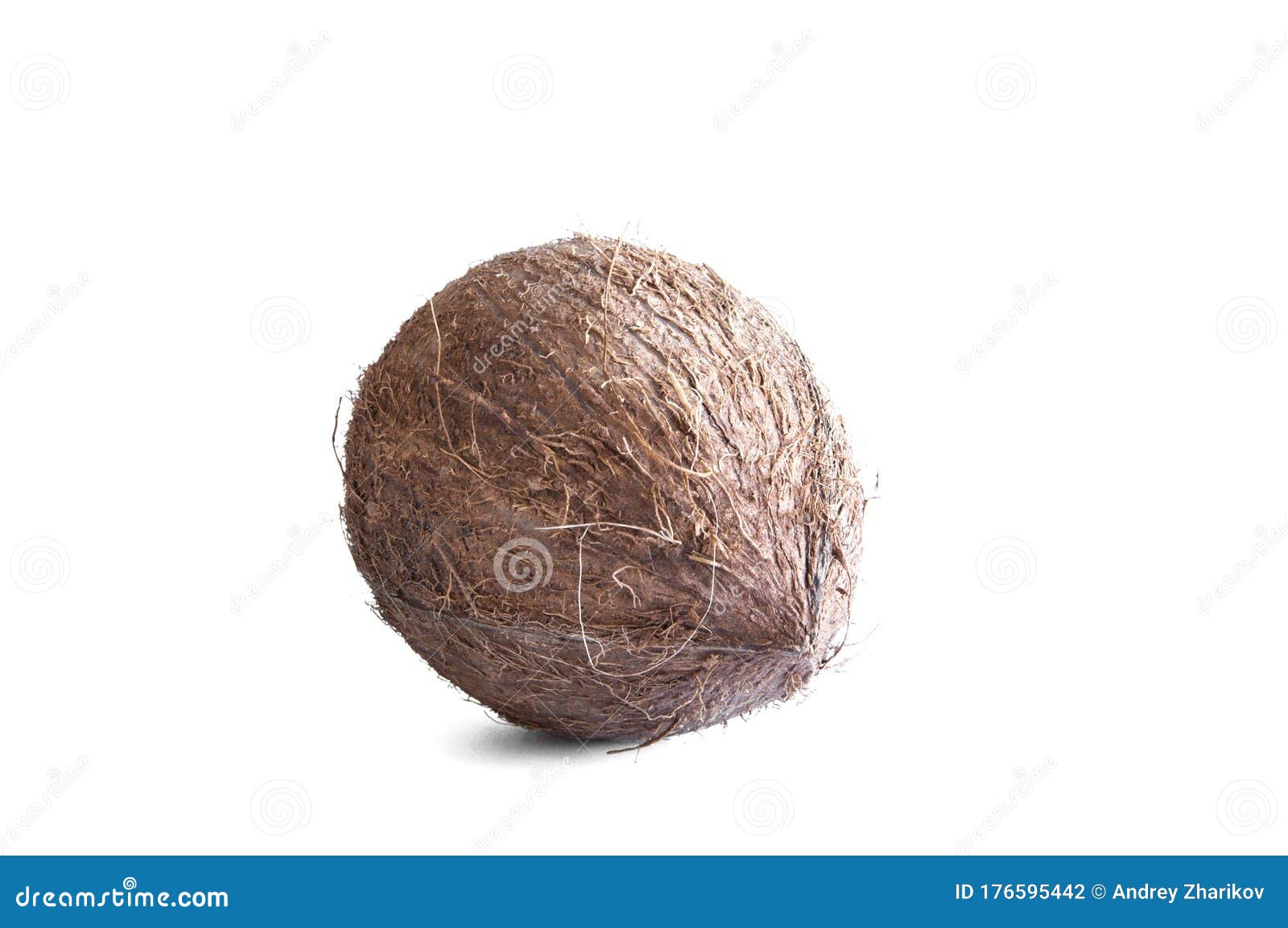 Coconut. Close-up. on White Background Stock Photo - Image of hard ...