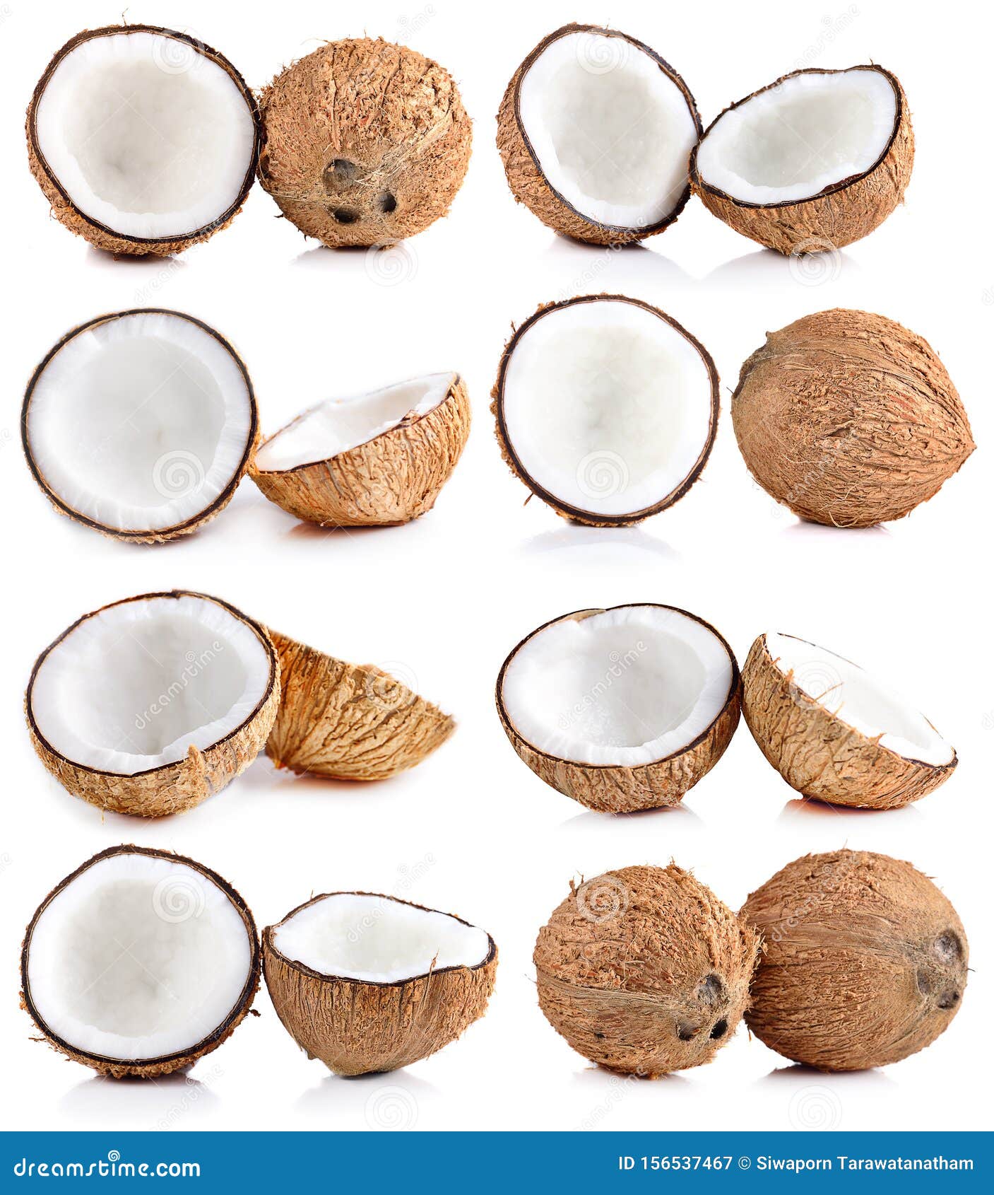 Coconut Closeup on a White Background Stock Image - Image of full ...