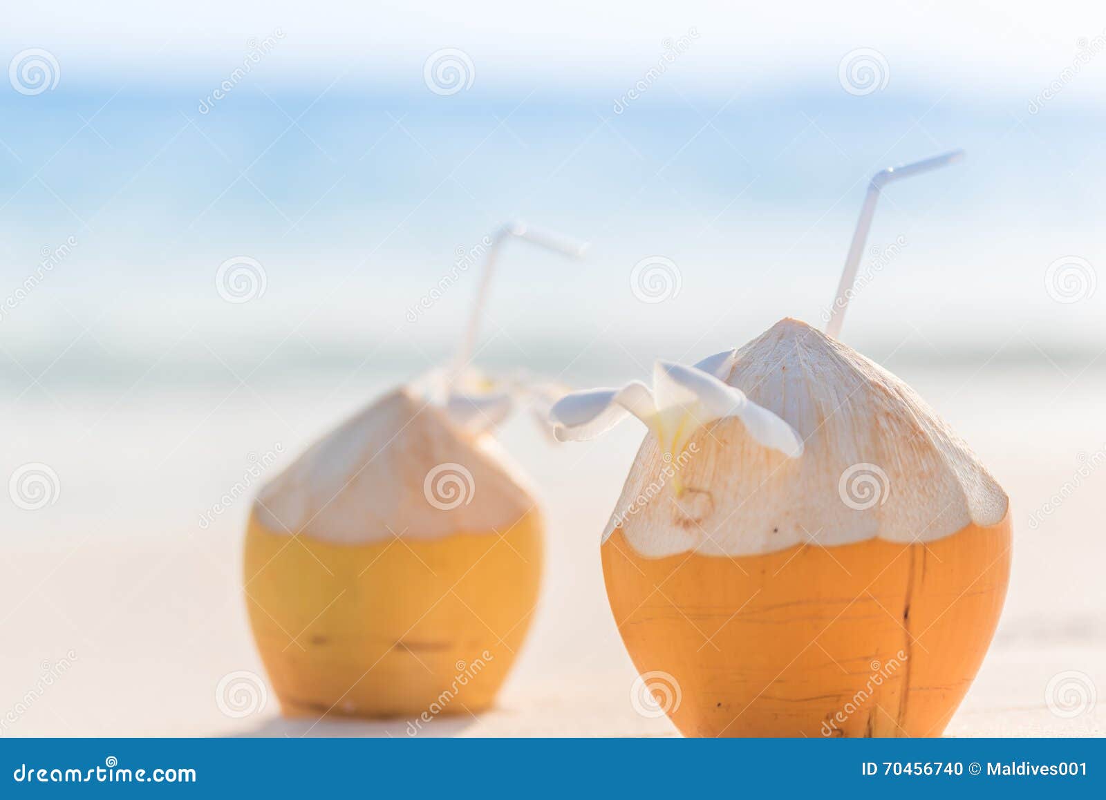 Ready To Drink Coconut Cocktail Stock Photo - Image of bathe, natural ...
