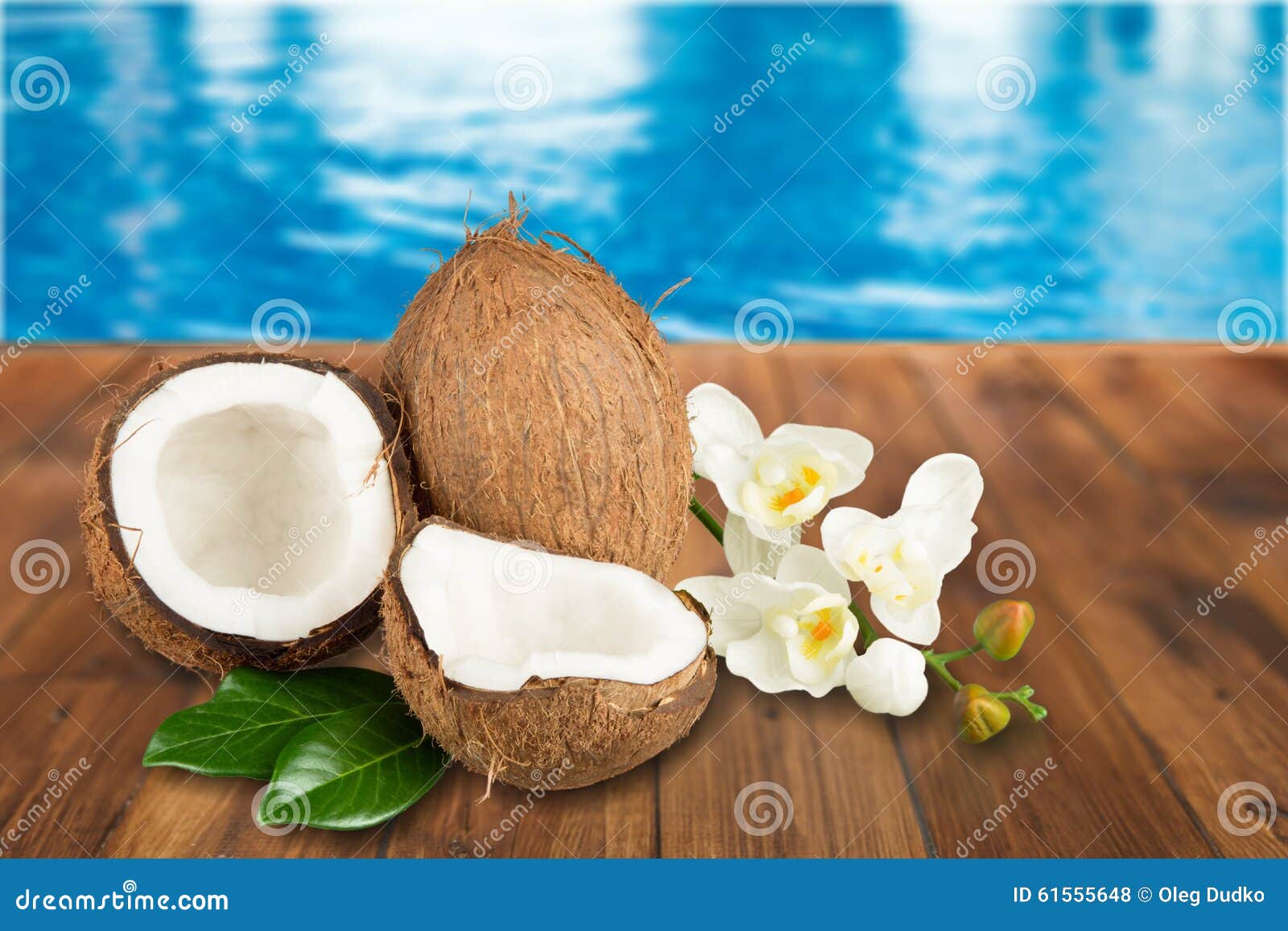 Coconut stock photo. Image of square, green, coco, isolated - 61555648