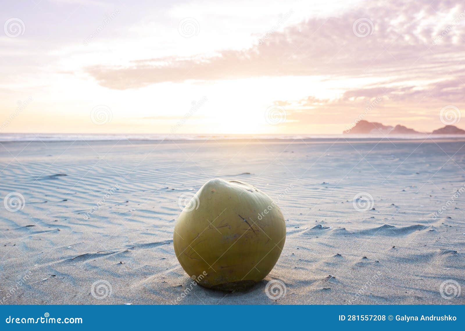 Coconut stock photo. Image of coconut, beautiful, landscape - 281557208