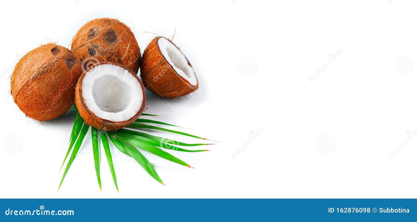 Coconut With Coconuts Palm Tree Leaf Isolated On A White Background ...