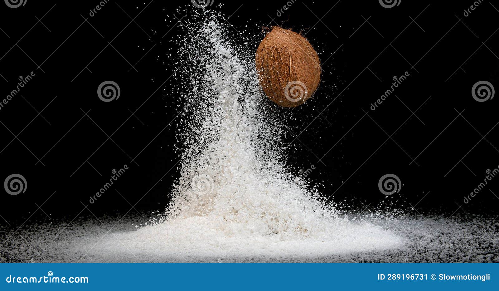 Coconut, Cocos Nucifera, Fruit and Powder Exploding Against Black ...