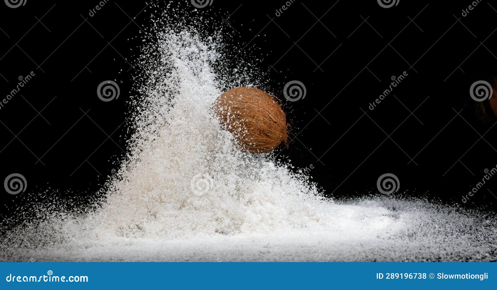 Coconut, Cocos Nucifera, Fruit and Powder Exploding Against Black ...
