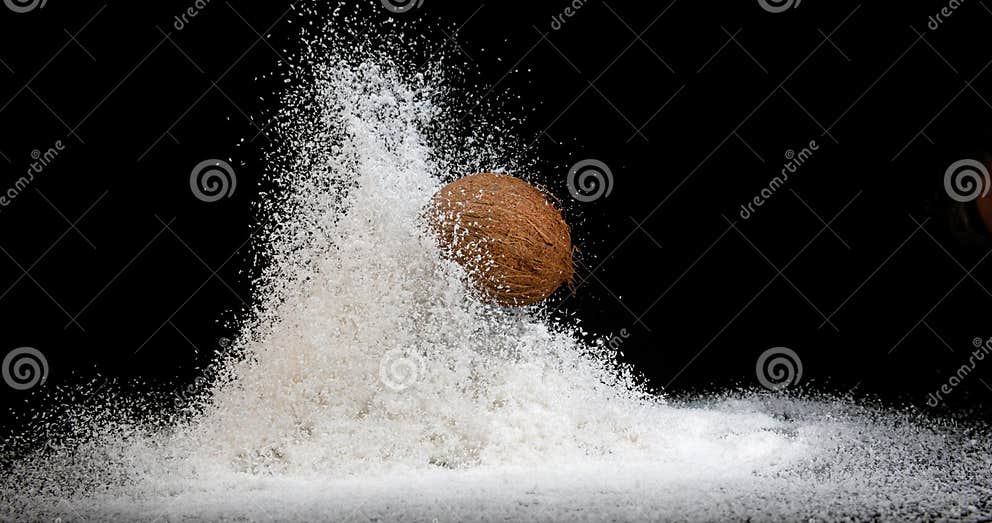 Coconut, Cocos Nucifera, Fruit and Powder Exploding Against Black ...