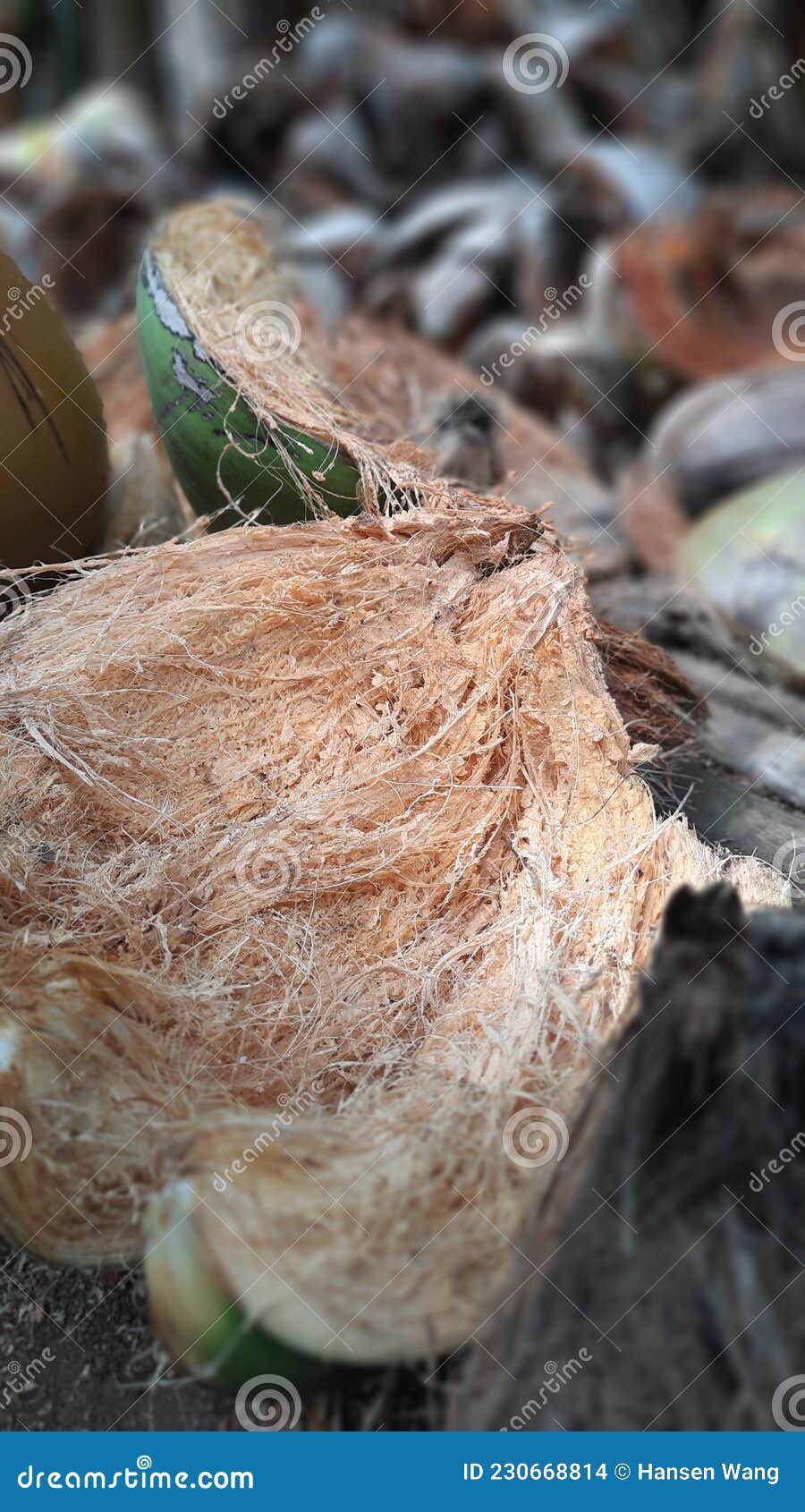 Coconut Coir As Combustion Material Stock Photo - Image of coir, fire ...
