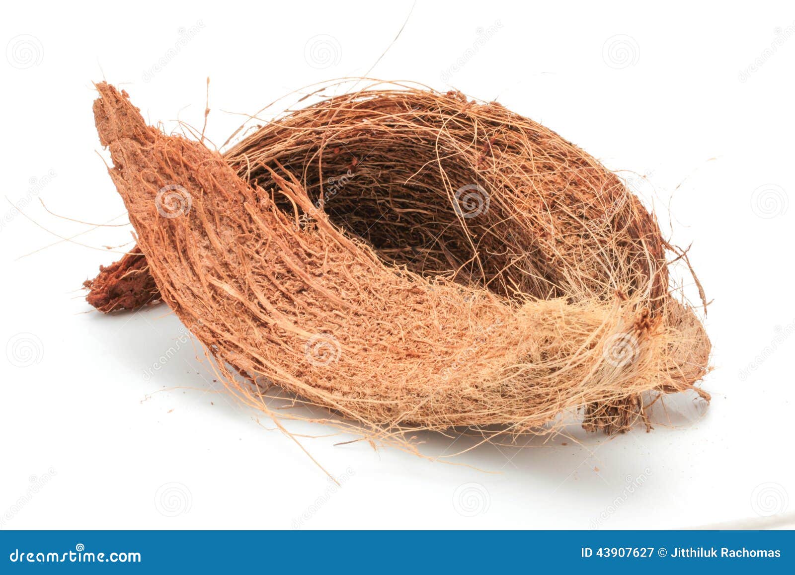 Coconut Coir Isolated stock image. Image of organic, natural - 43907627