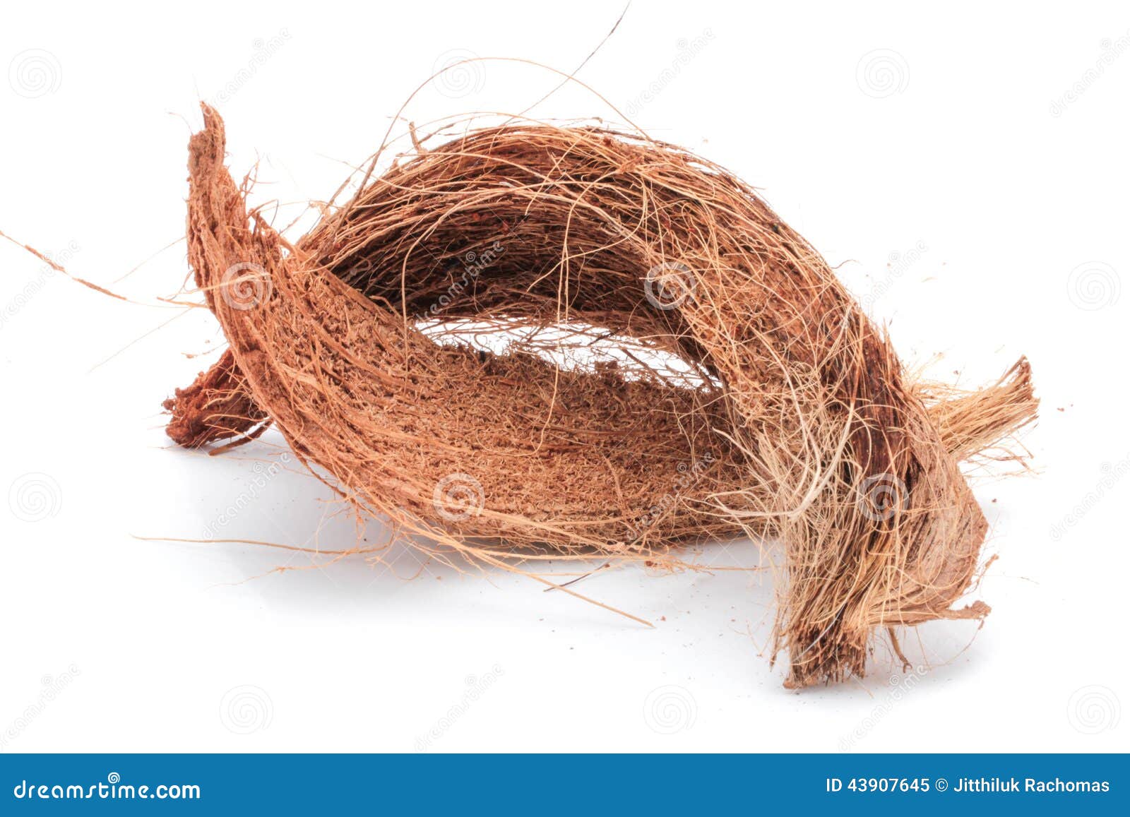 Coconut Coir Isolated stock image. Image of fibrous, coco - 43907645