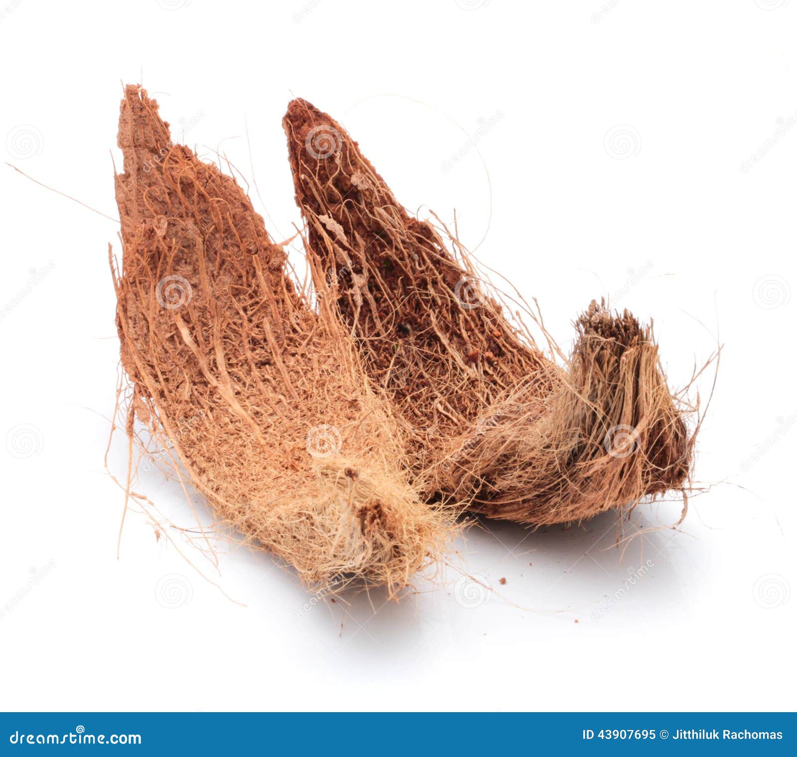 Coconut Coir Isolated stock image. Image of biodegradable - 43907695