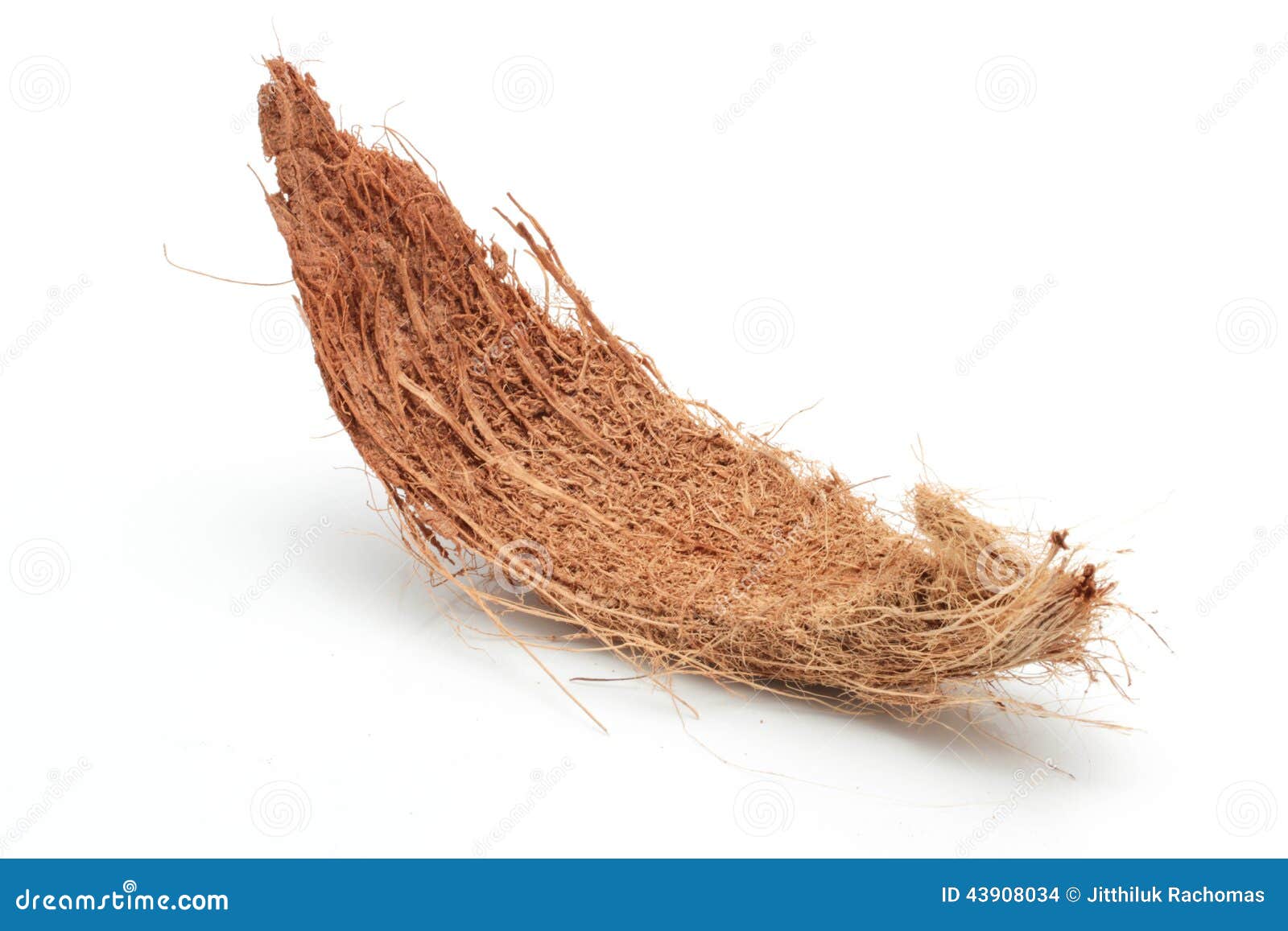 Coconut Coir Isolated stock photo. Image of briquette - 43908034