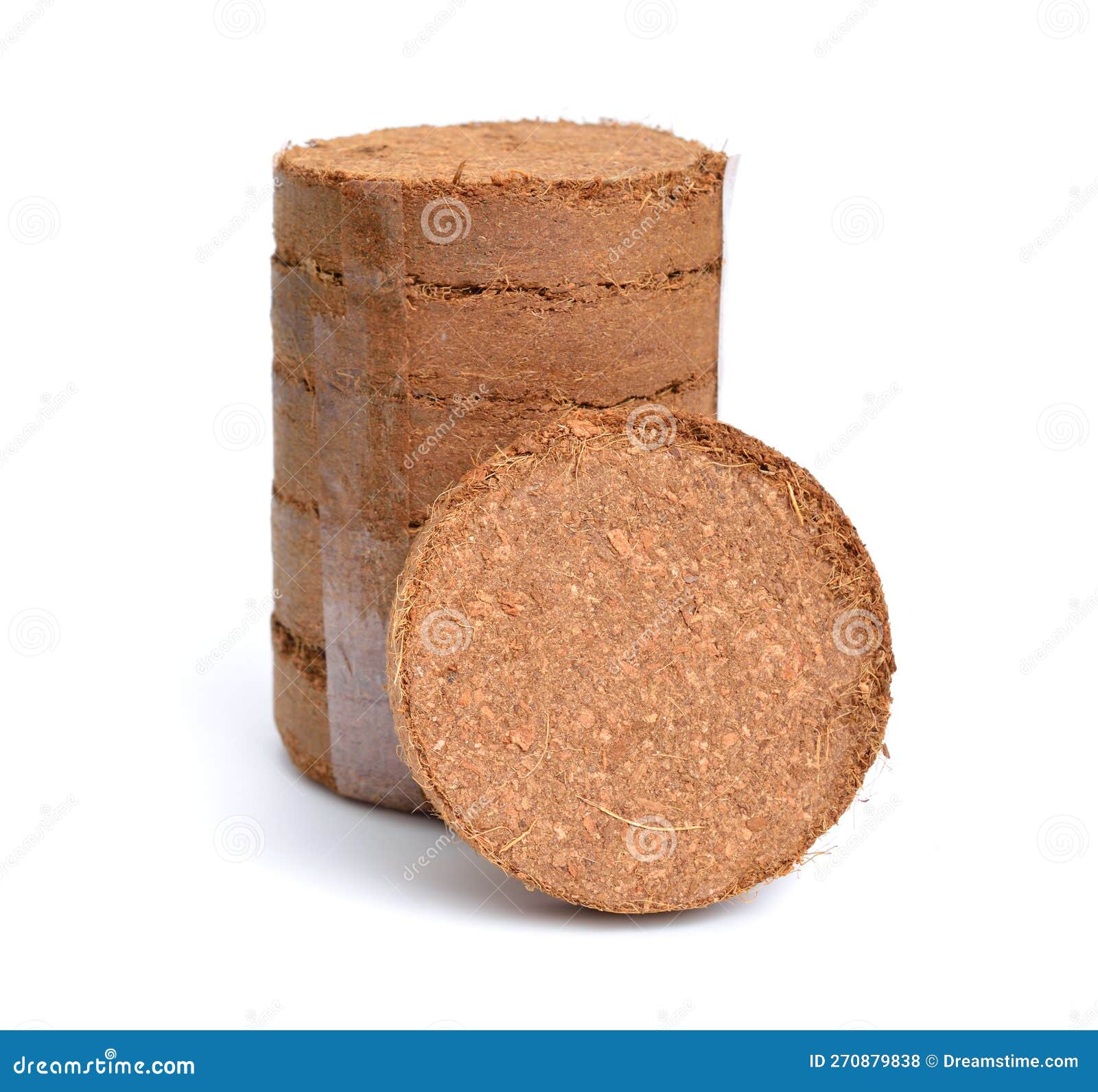 Coconut Coir Substrate. Pressed Briquette Isolated on White Background ...