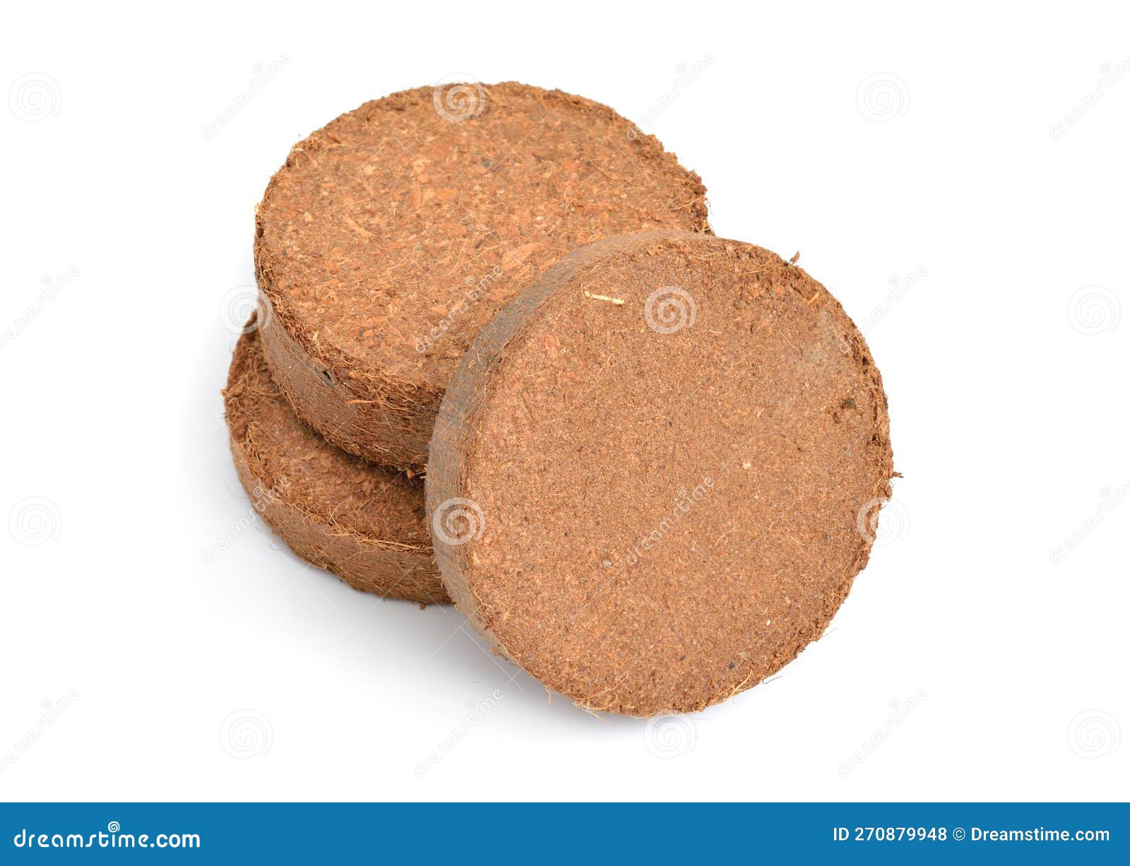 Coconut Coir Substrate. Pressed Briquette Isolated on White Background ...