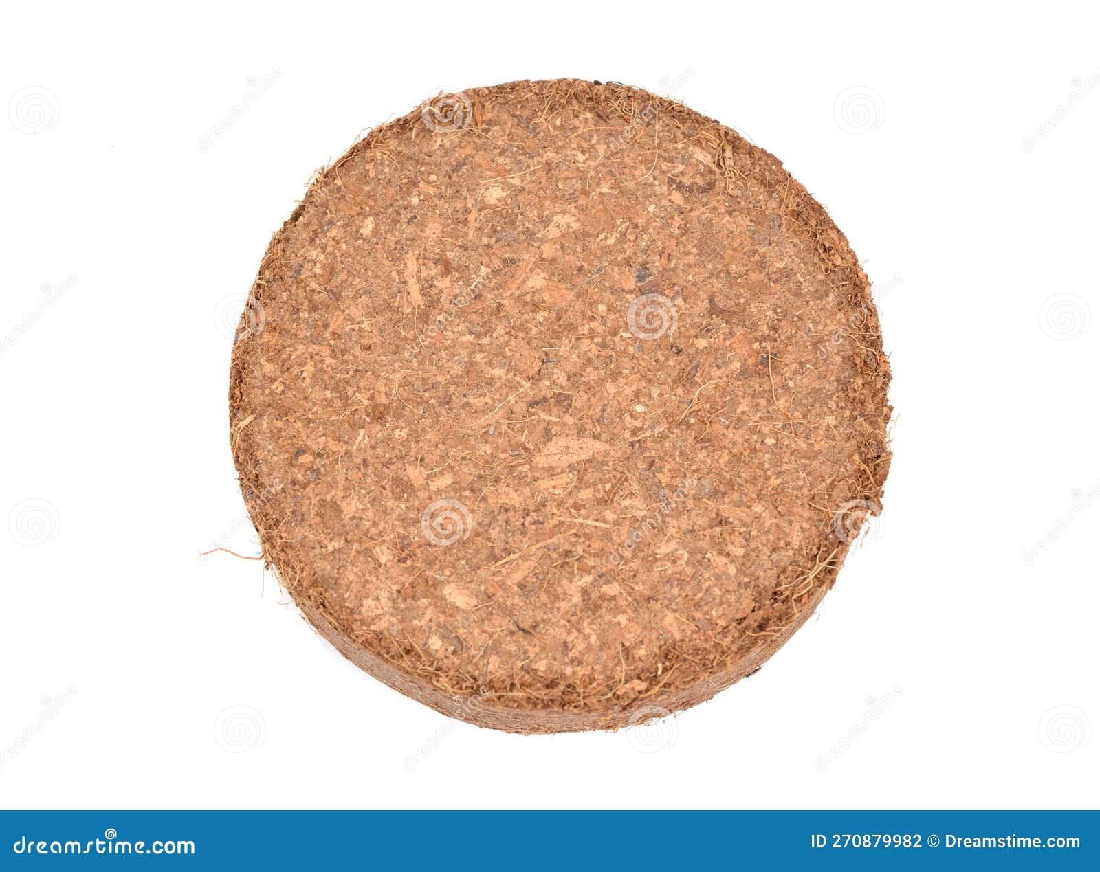 Coconut Coir Substrate. Pressed Briquette Isolated on White Background ...