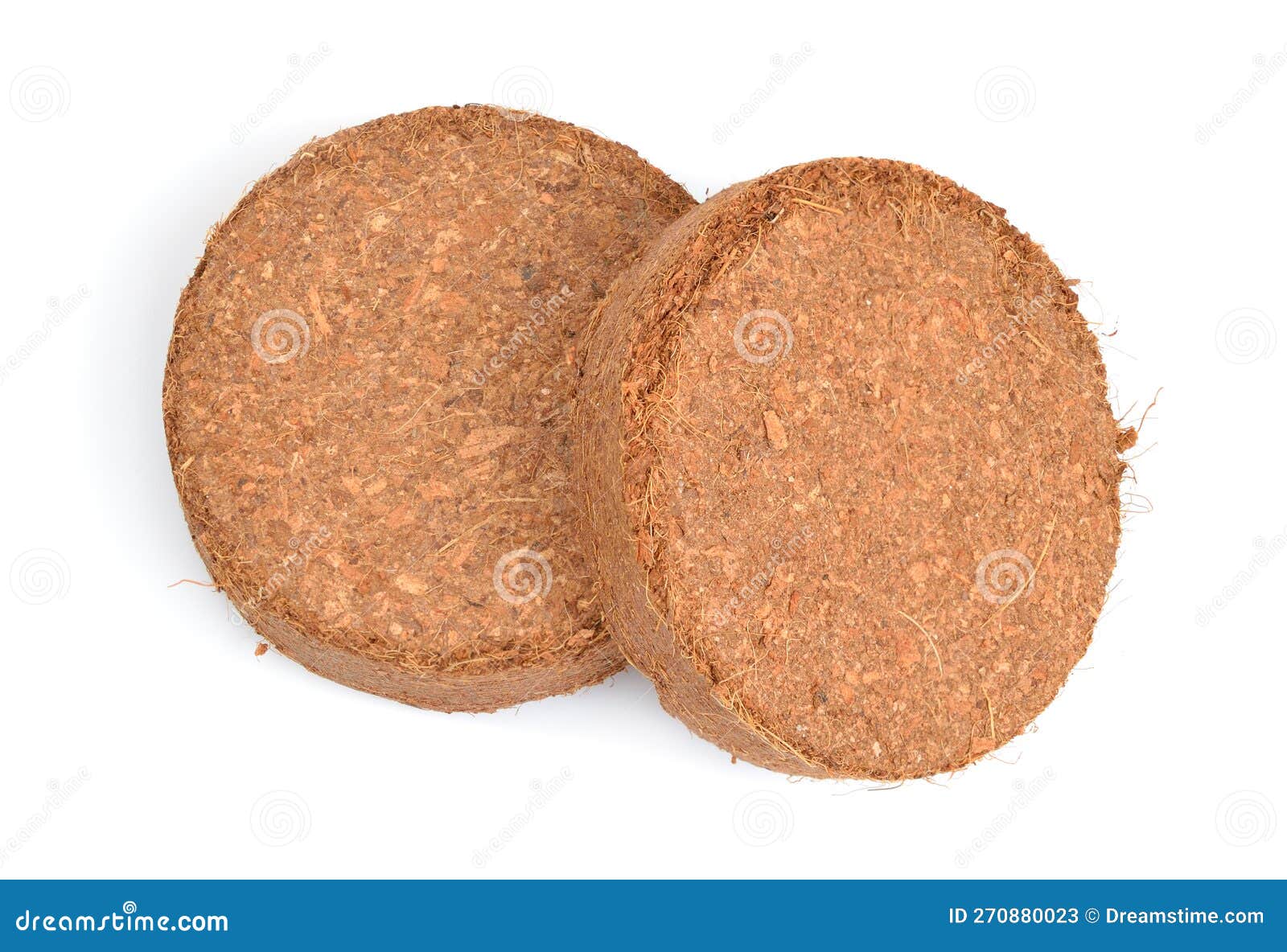 Coconut Coir Substrate. Pressed Briquette Isolated on White Background ...