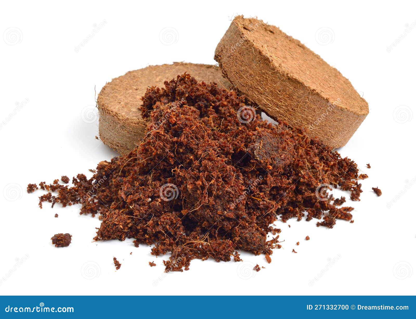 Coconut Coir Substrate. Pressed Briquette Isolated on White Background ...
