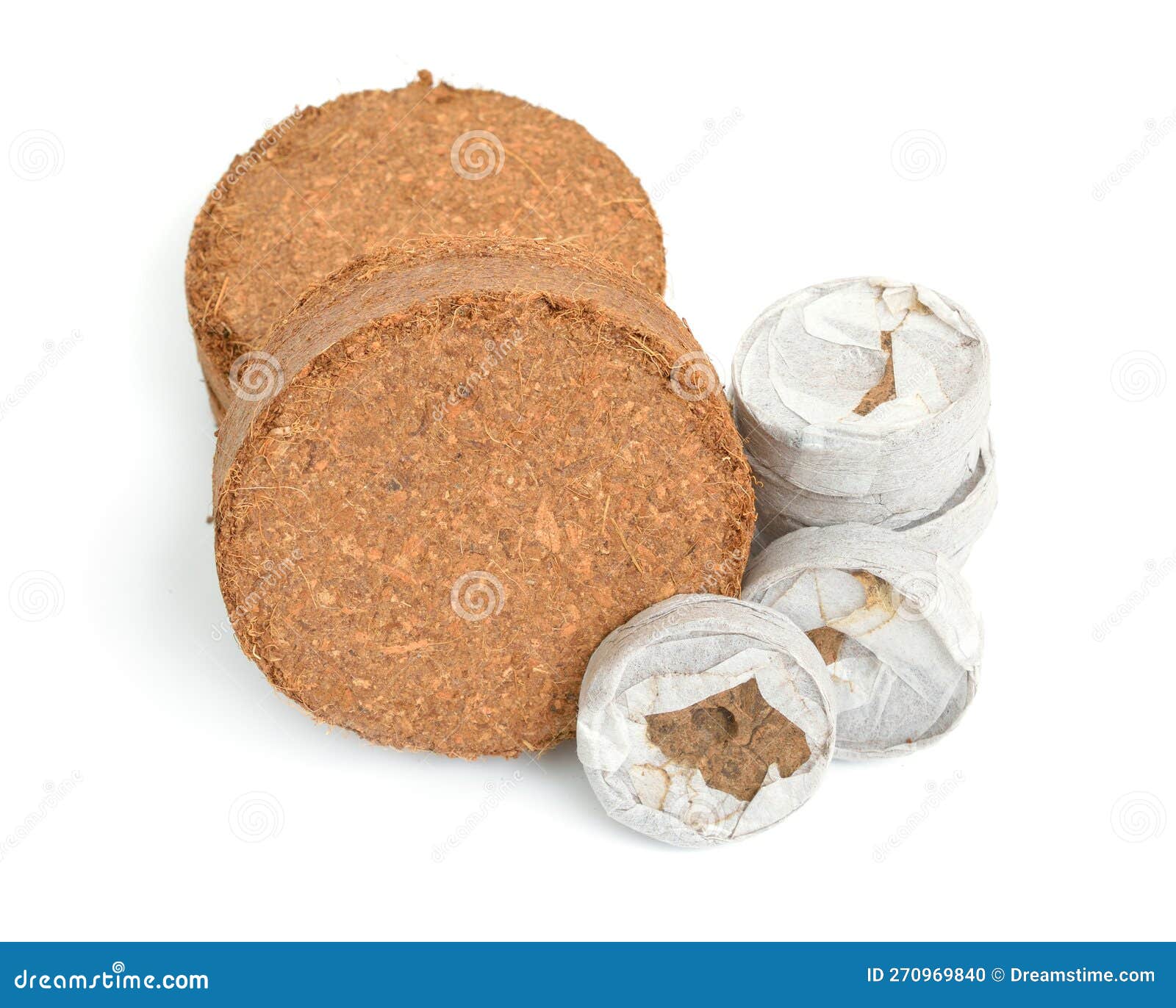 Coconut Coir Substrate. Pressed Briquette with Tabletes Stock Photo ...