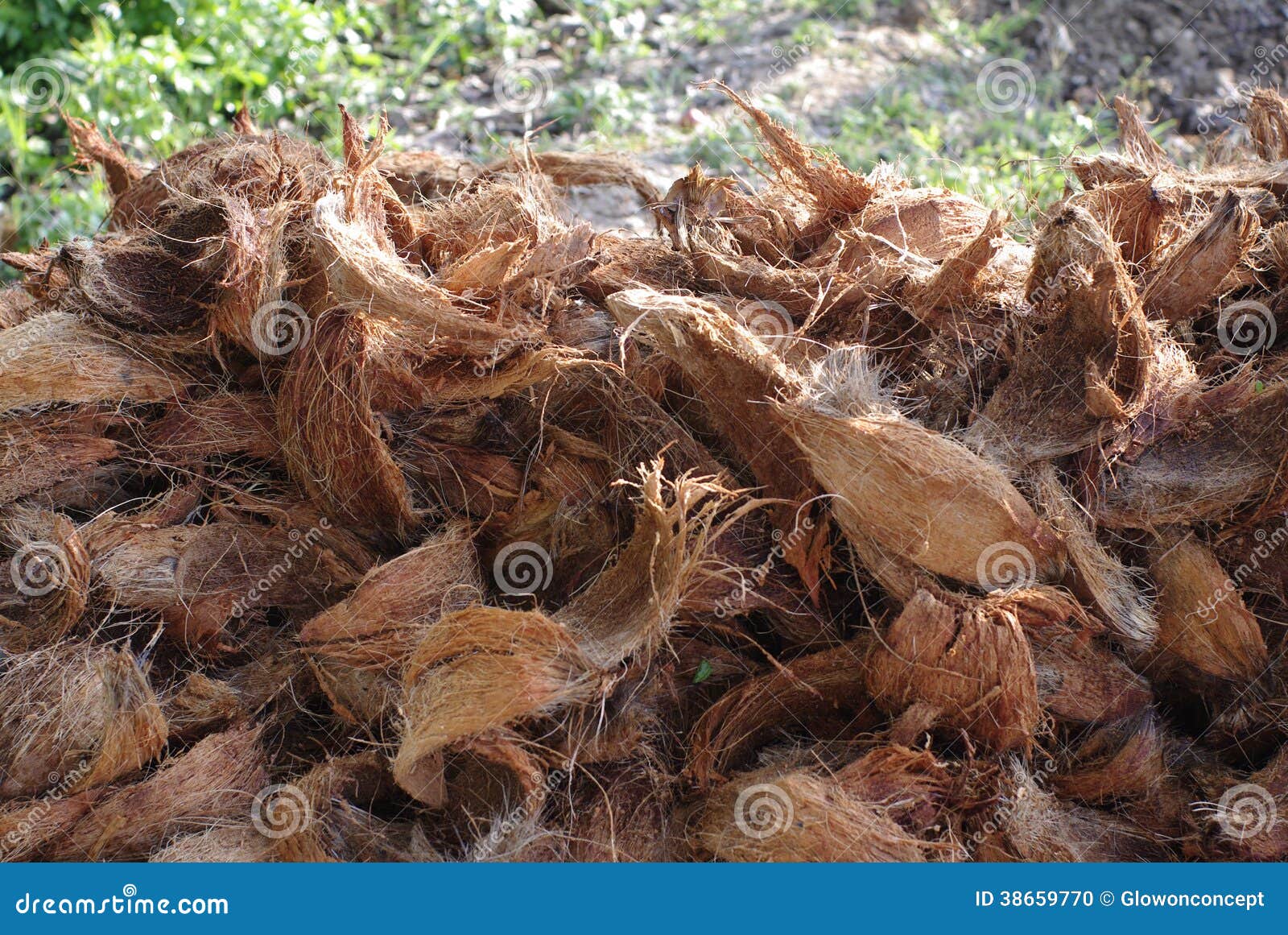 Coir Texture Royalty-Free Stock Photo | CartoonDealer.com #7752081