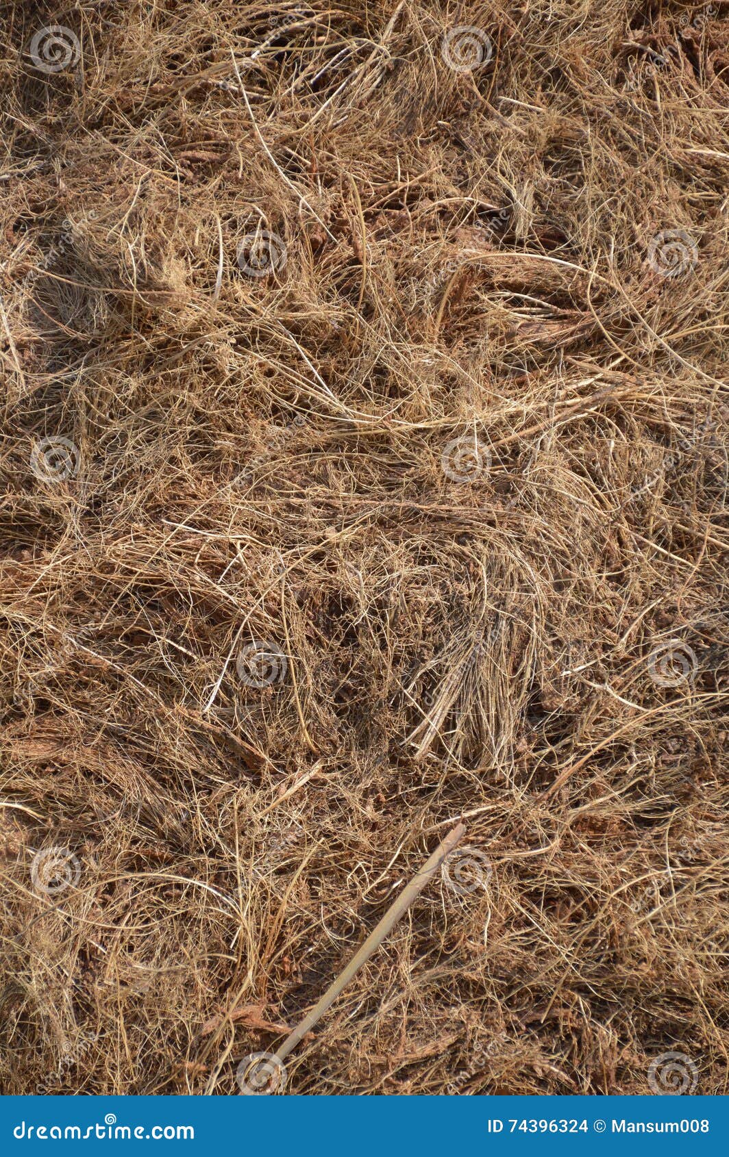 Coconut coir texture stock photo. Image of texture, dust - 74396324