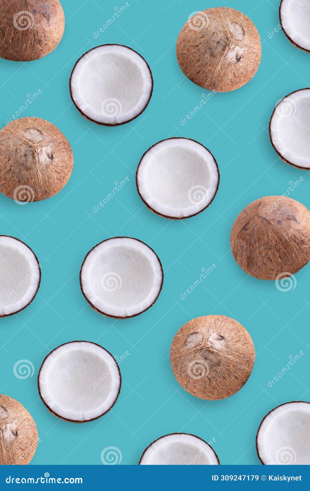 Coconut Collection on a Blue Color Background Stock Image - Image of ...