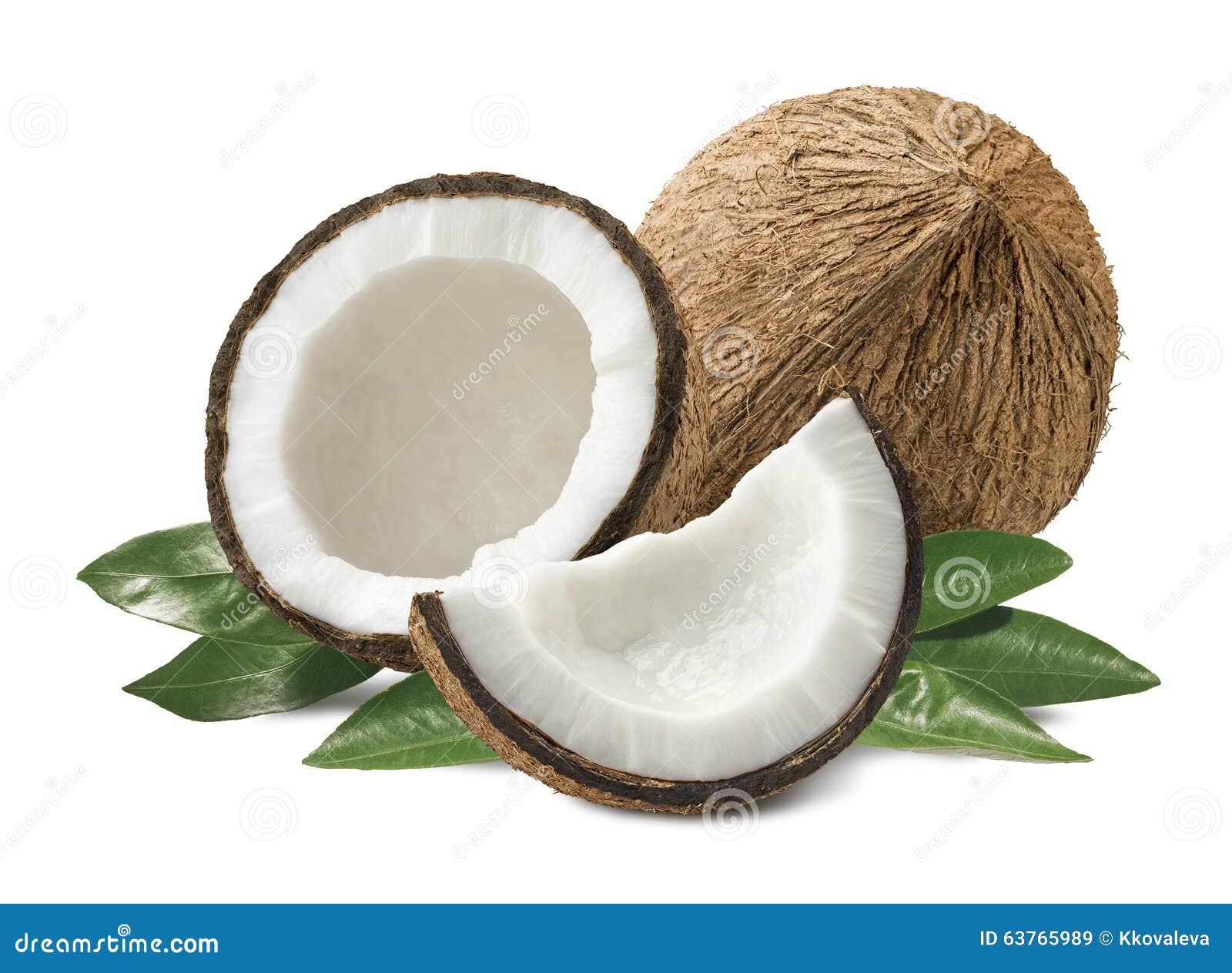 Coconut Composition Leaves Isolated on White Background Stock Image ...