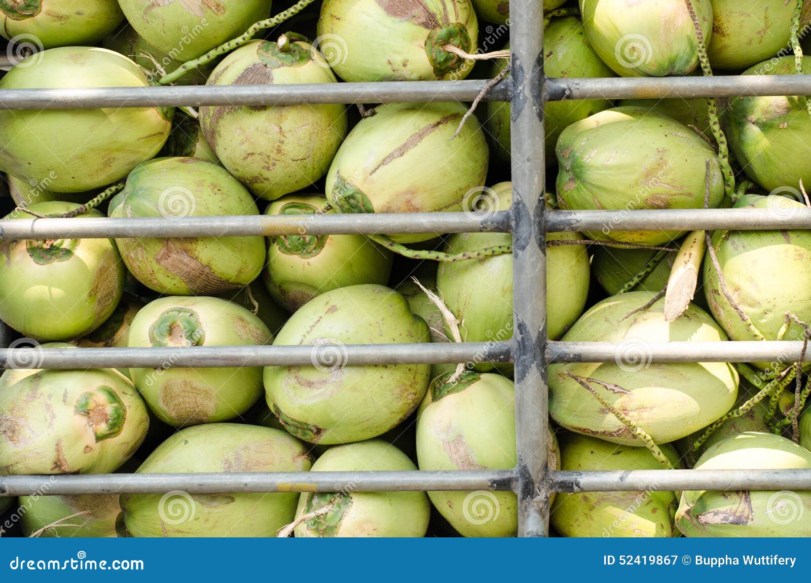 Coconut container stock image. Image of carry, container - 52419867