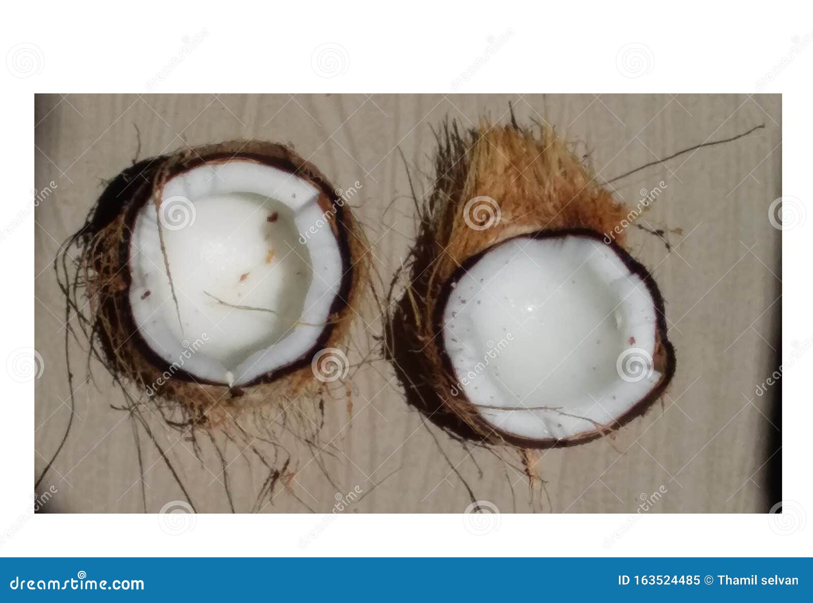 Coconut stock image. Image of eatable, coconut, creative - 163524485