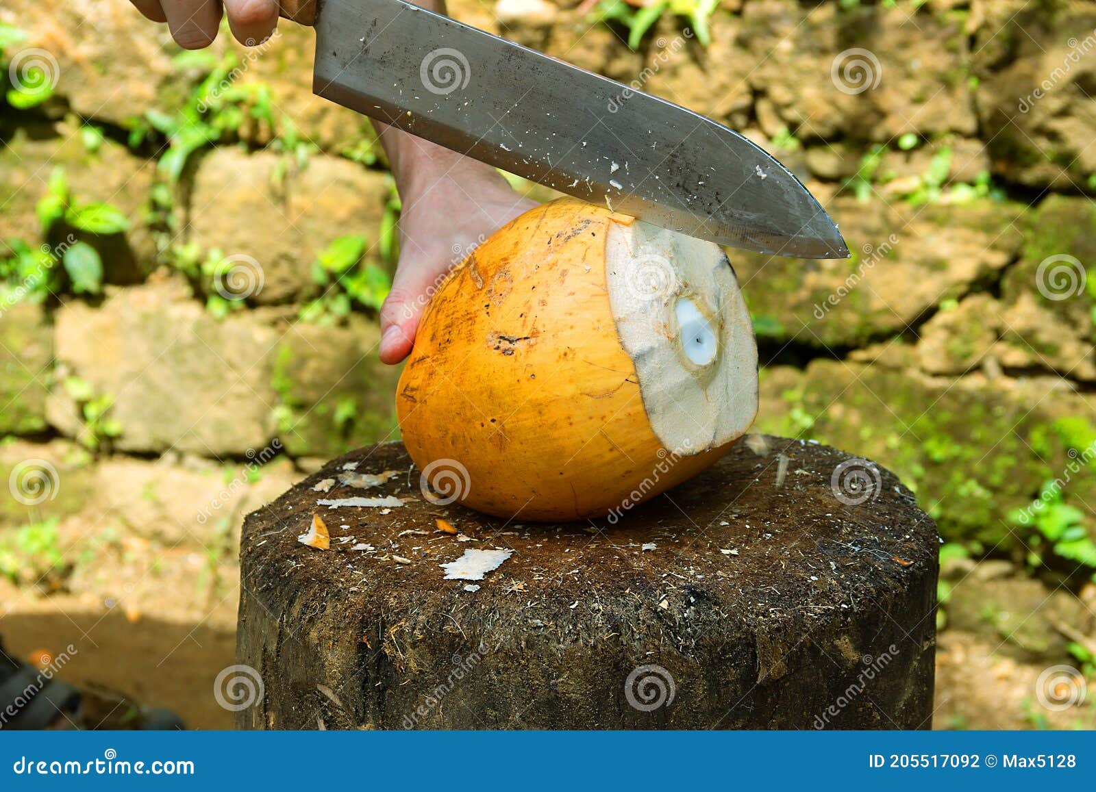 The Coconut is Cut with a Large Cleaver Stock Photo - Image of palmnut ...