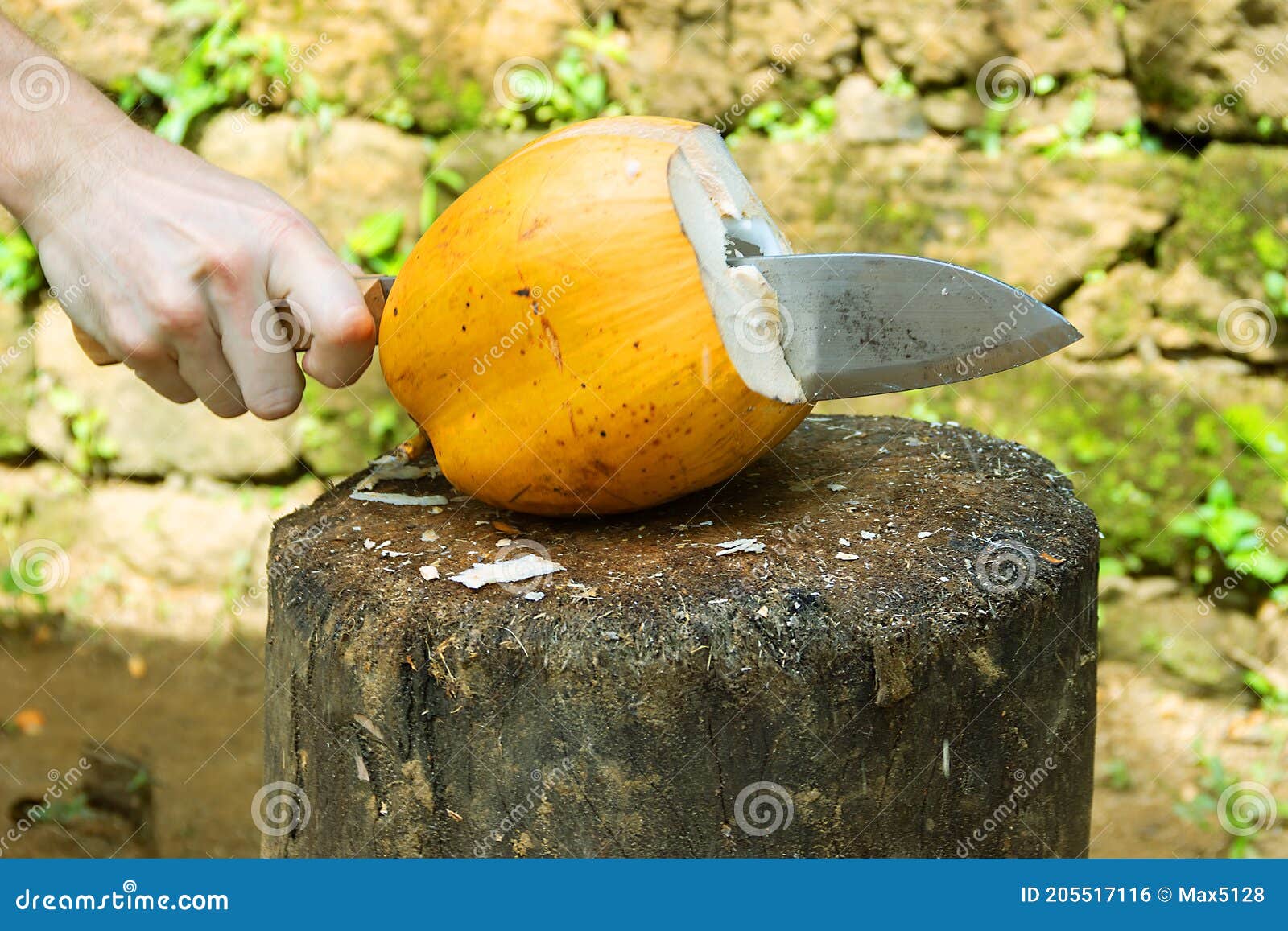 The Coconut is Cut with a Large Cleaver Stock Photo - Image of harvest ...
