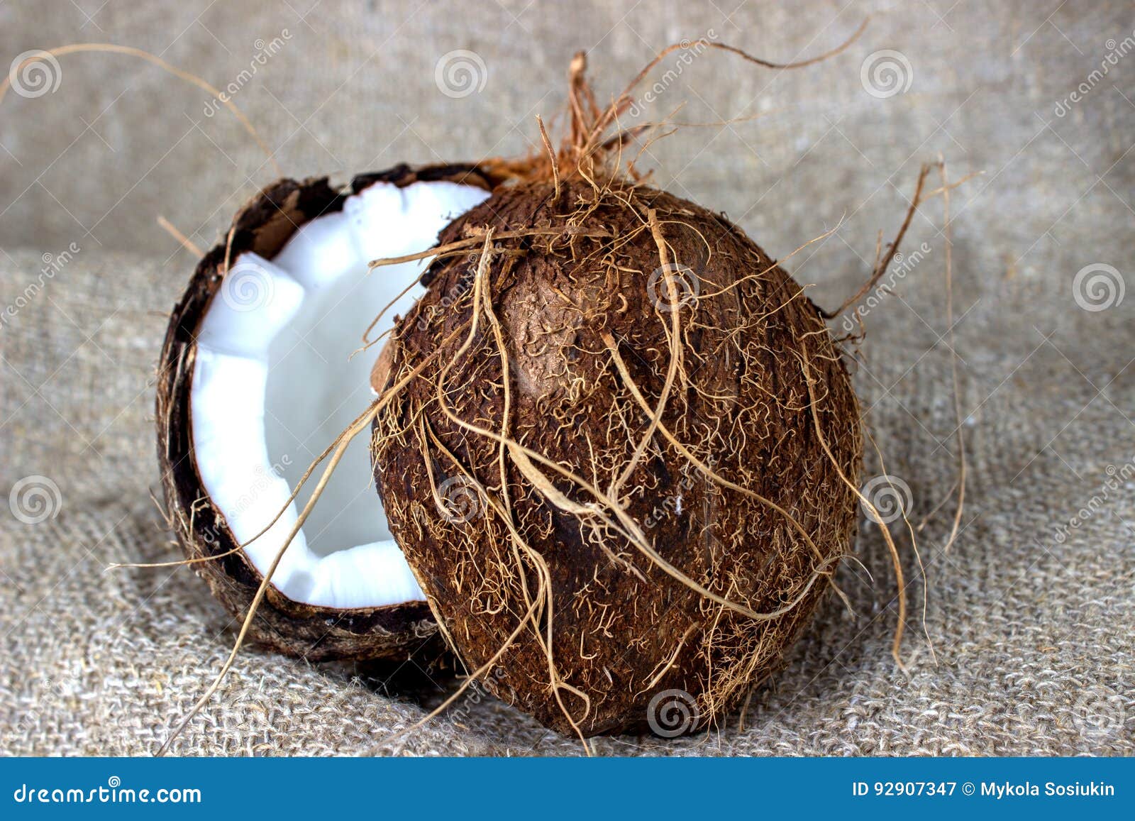 Coconut Cut into Pieces on Burlap Stock Image - Image of beauty ...