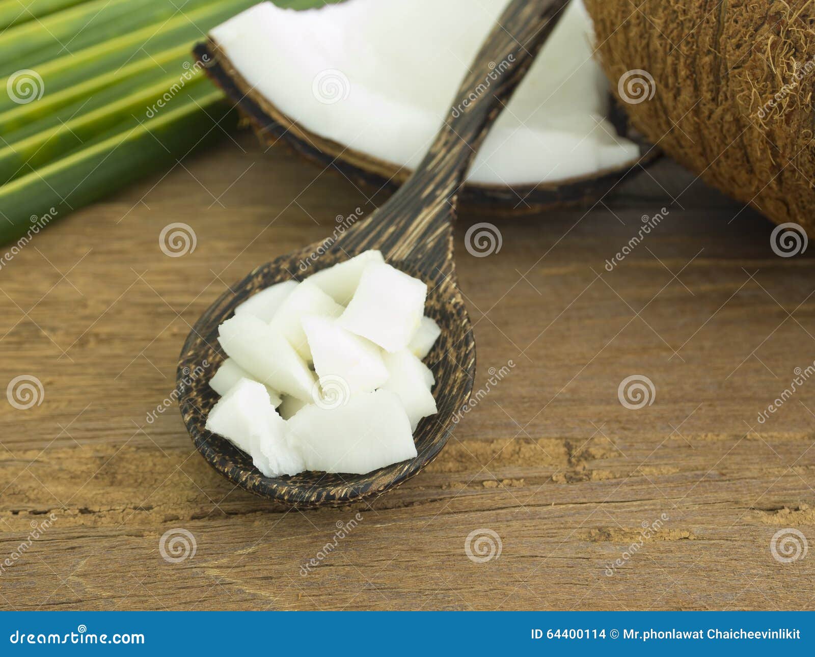 Coconut stock photo. Image of plant, white, closeup, tropical - 64400114