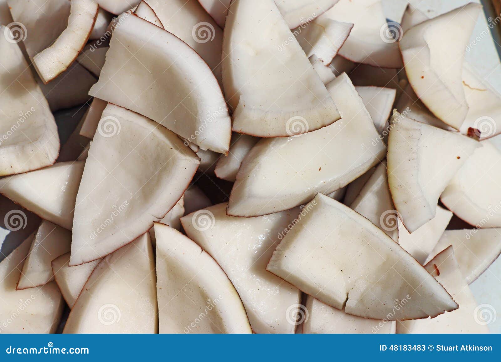 Coconut Display Showing Parts of Coconuts India Stock Image - Image of ...