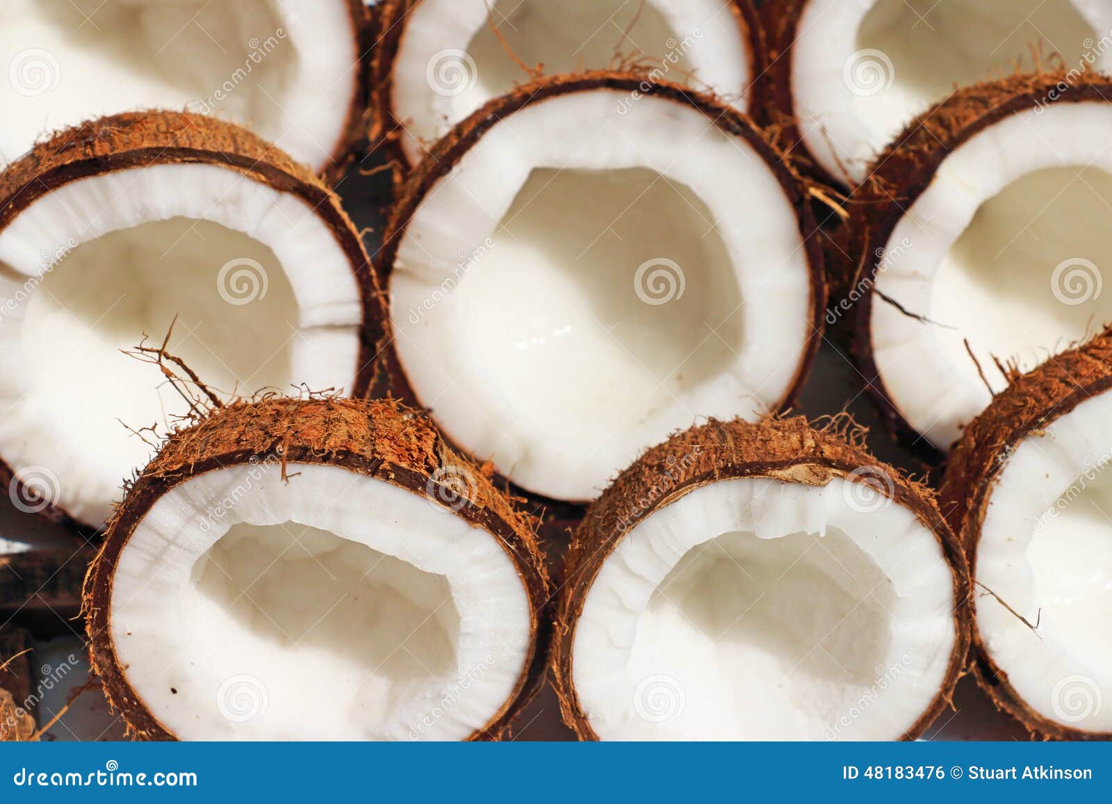 Coconut Display on a Stall in India Stock Photo - Image of trade ...