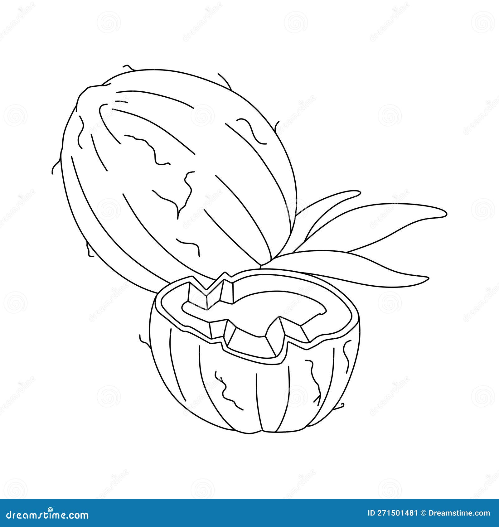 Coconut Doodle Vector Illustration Coloring Book for Kids Stock Vector ...