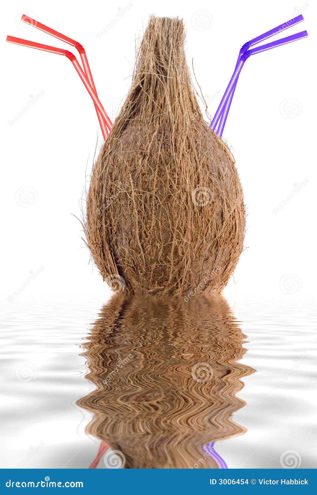 Coconut with Drinking Straws Stock Photo - Image of shell, milk: 3006454