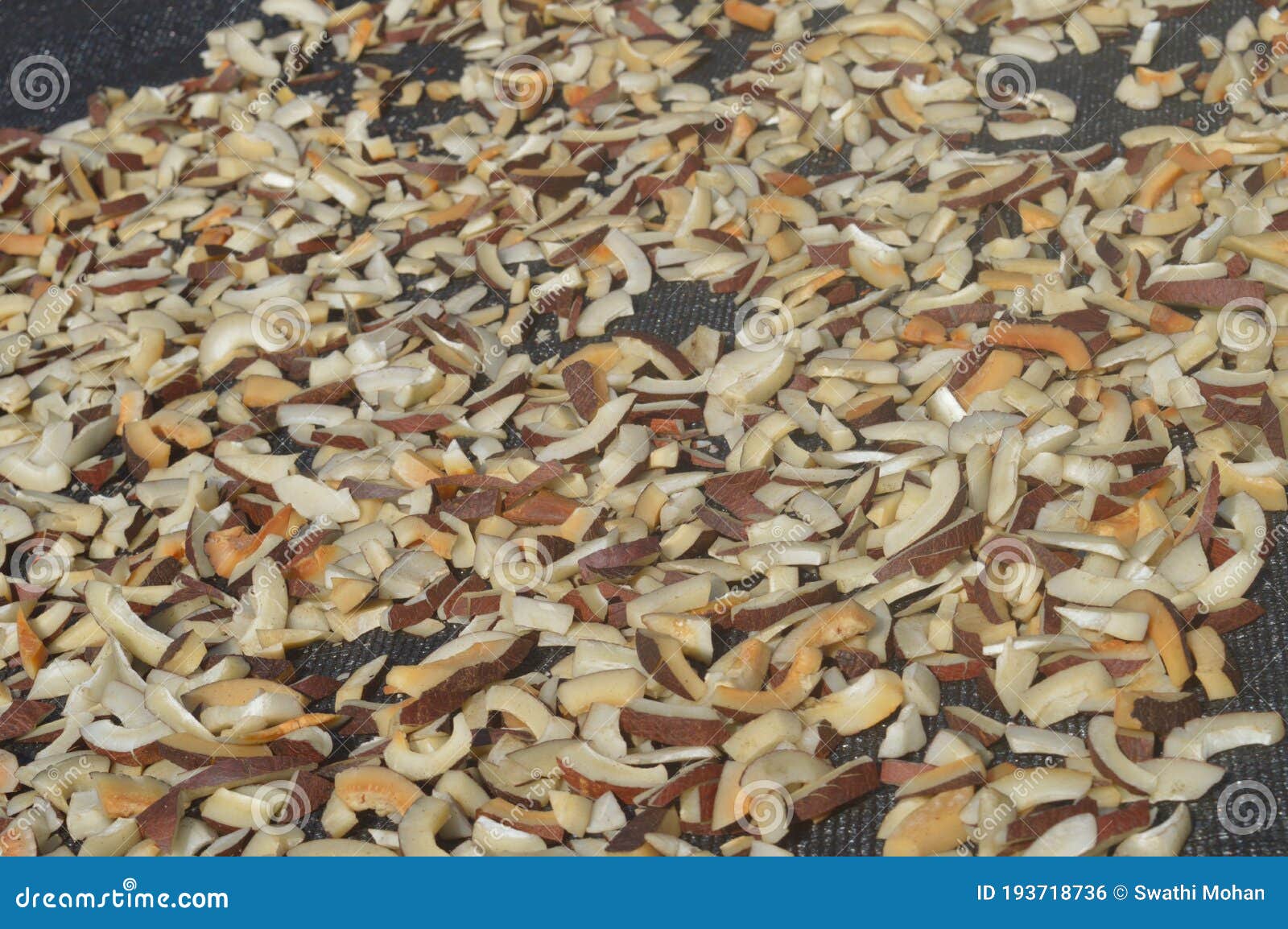 Coconut Drying in the Sun for Oil Extraction Stock Photo - Image of ...